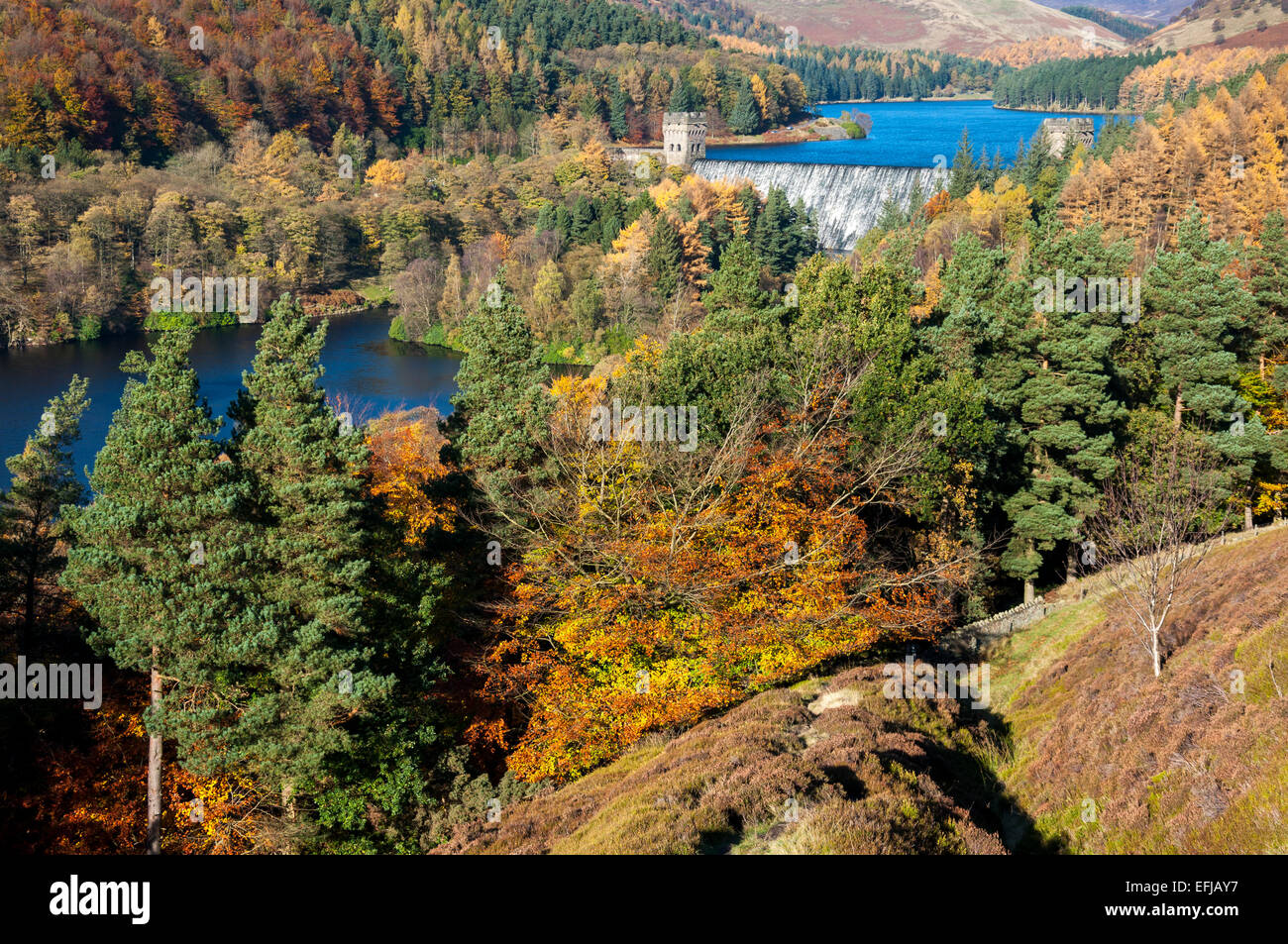 Autumn colour on the hills above Derwent reservoir in the Peak District ...