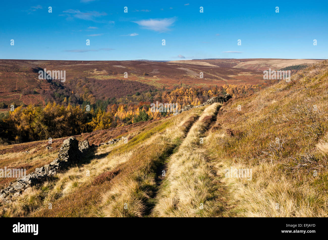 Rough track above Derwent reservoir in the Peak District. Moorland with ...
