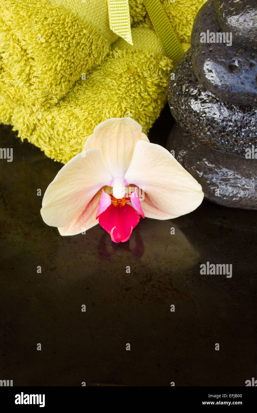 orchid spa treatment Stock Photo - Alamy