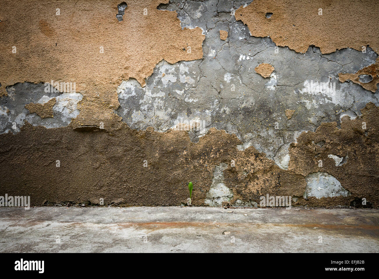 Old weathered wall of bricks and a ground Stock Photo - Alamy