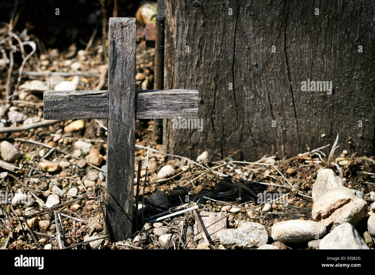 Close up shot of crosses in the Hill of Crosses a famous site of ...