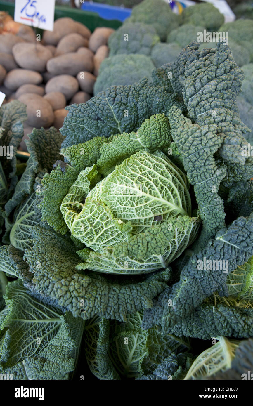 Cabbage Shoot High Resolution Stock Photography and Images - Alamy