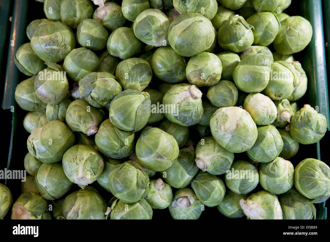 Sprouts for sale on market stall Stock Photo - Alamy