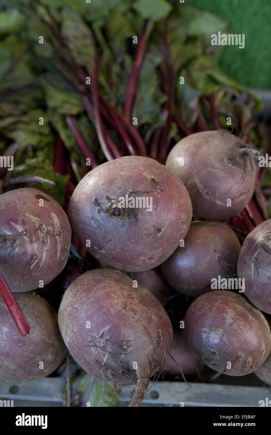 Beetroot on market stall Stock Photo - Alamy