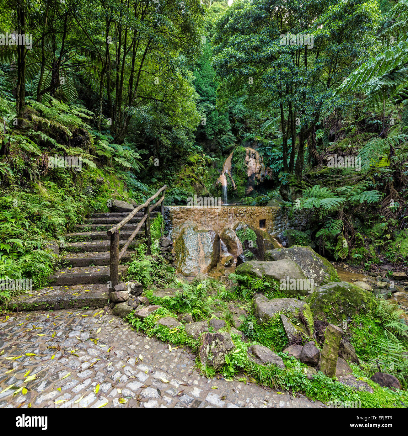 Hot-Spring Pool in Tropical Forest, Caldeira Velha Azores Stock Photo ...