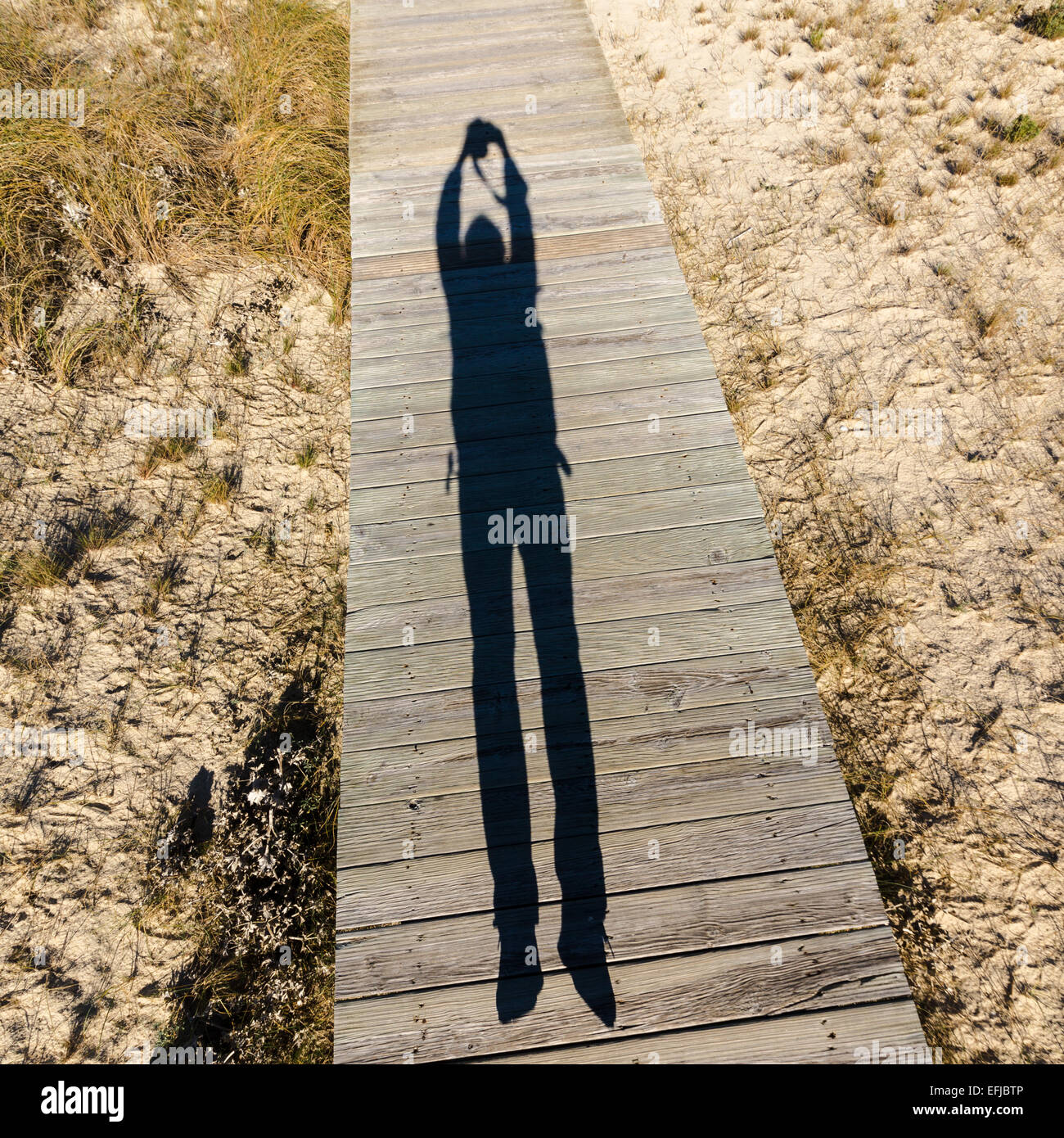 Elongated Shadow Jumping Man on a Wooden Walkway, sunny day Stock Photo ...