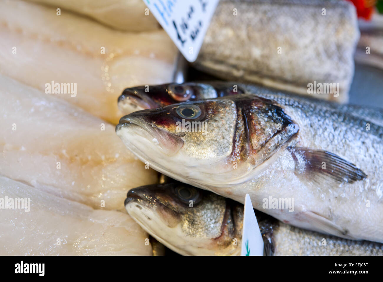 Fresh fish for sale in fishmonger stall Stock Photo - Alamy
