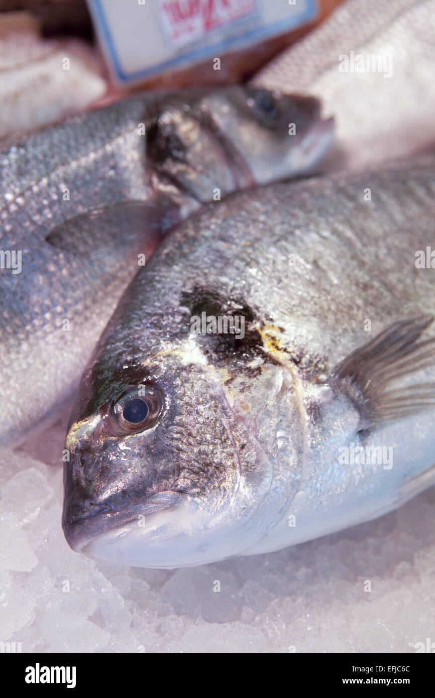 Fishmongers fresh fish hi-res stock photography and images - Alamy