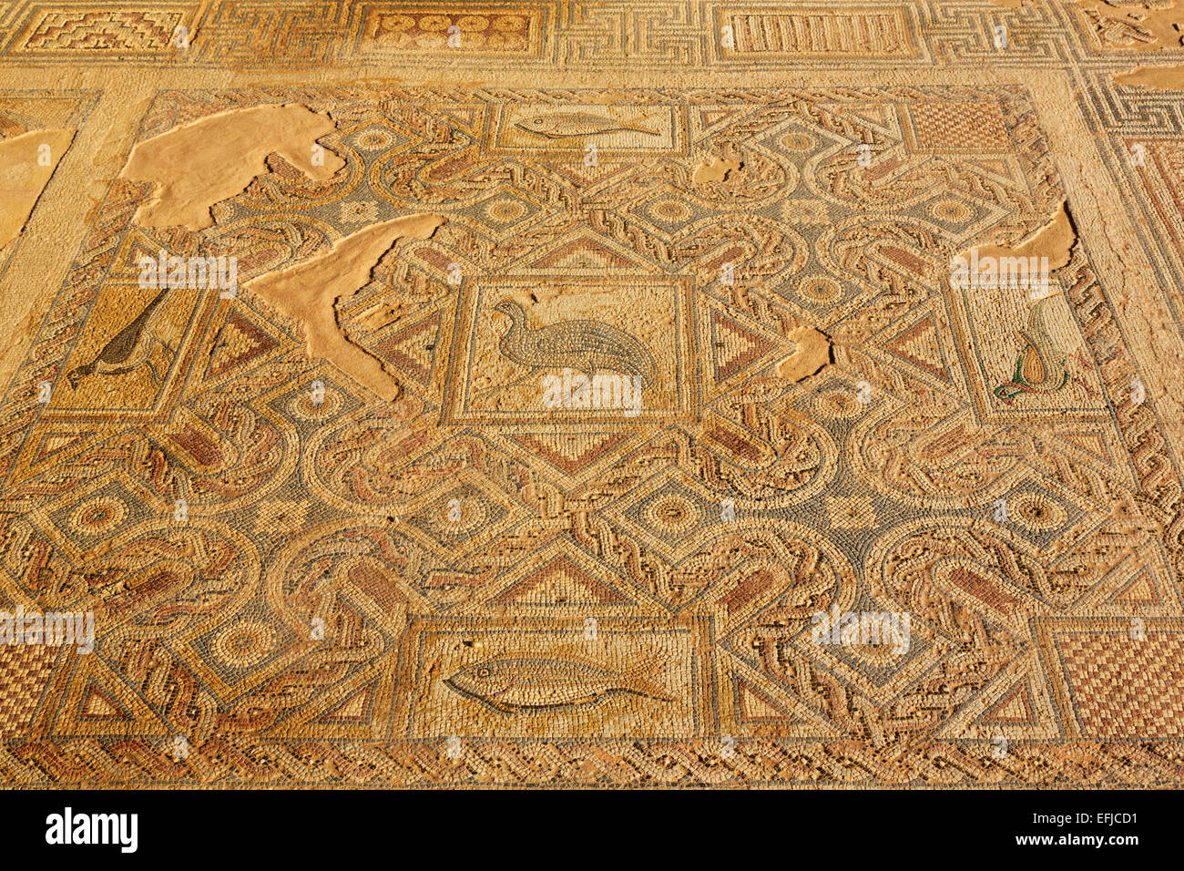 Cyprus mosaics at ancient Kourion, Curium Stock Photo - Alamy