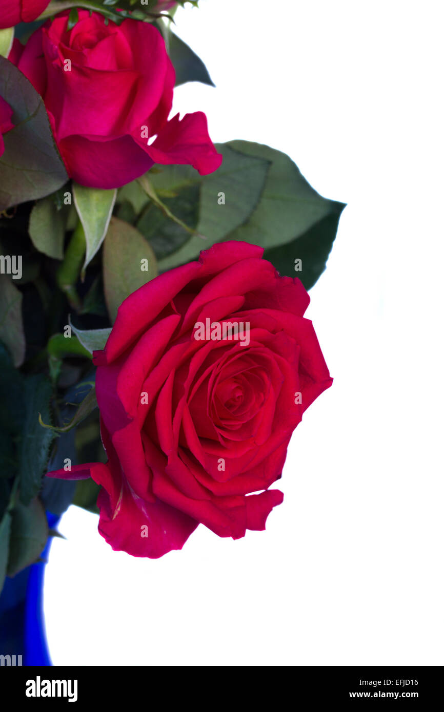 bouquet of dark pink roses close up Stock Photo - Alamy