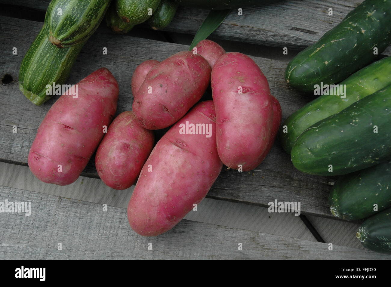 Potato container hi-res stock photography and images - Alamy
