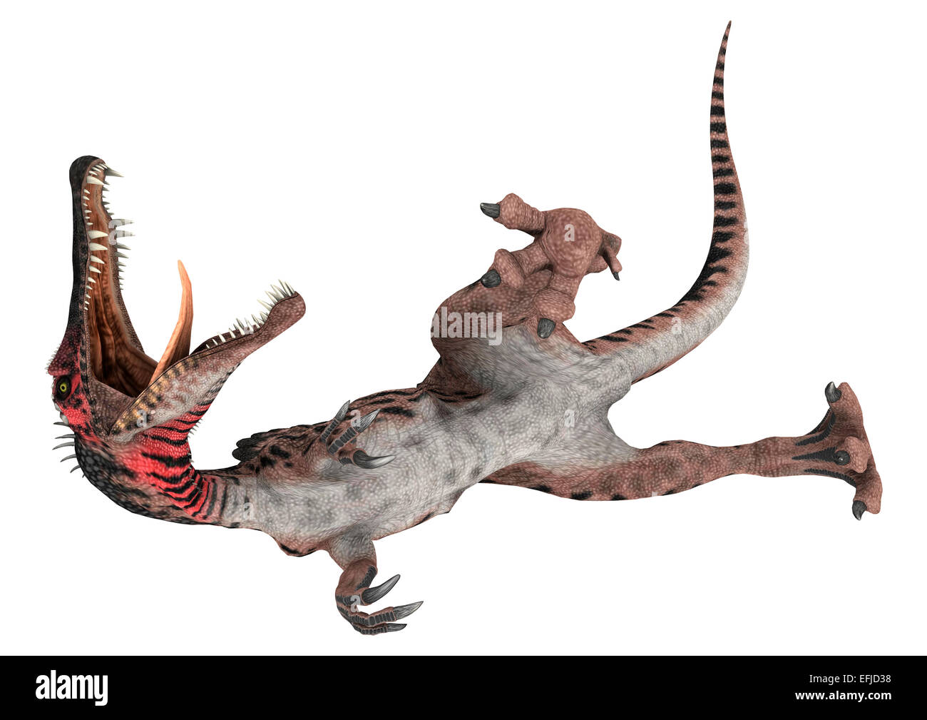 3D digital render of a wounded dinosaur Spinosaurus isolated on white ...