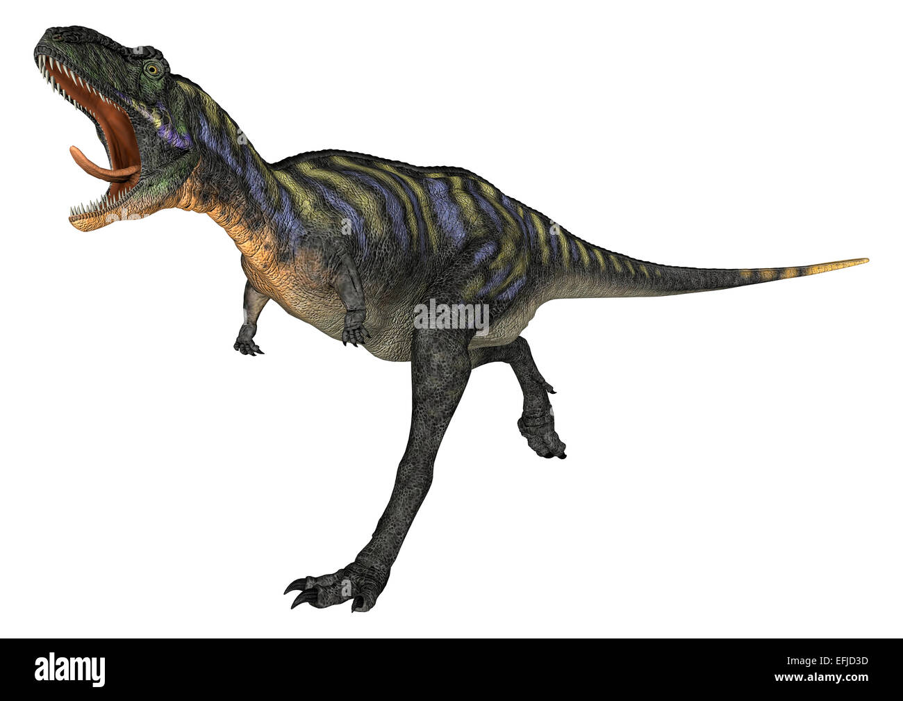 3D digital render of a running and screaming dinosaur Aucasaurus ...