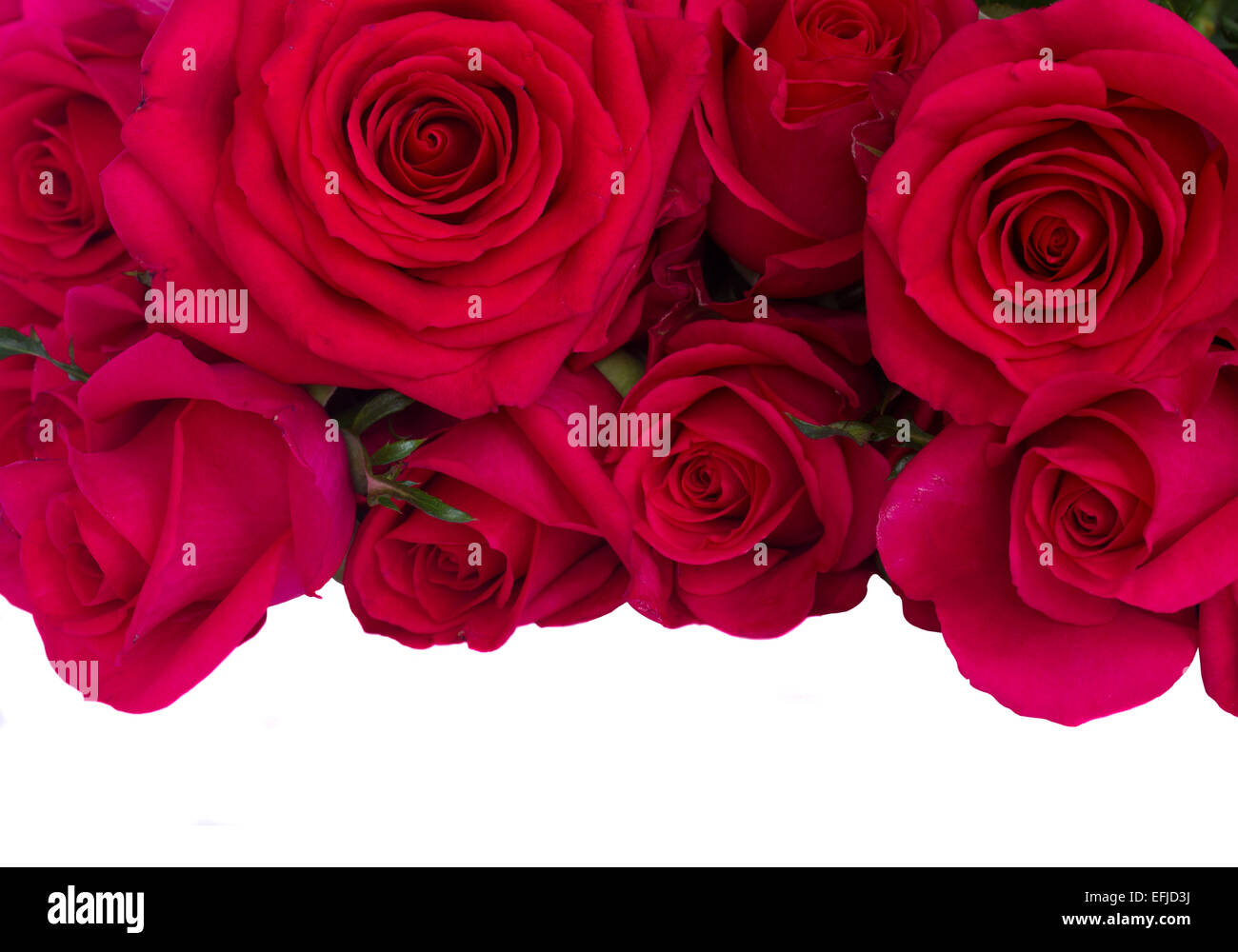 bouquet of dark pink roses close up Stock Photo - Alamy