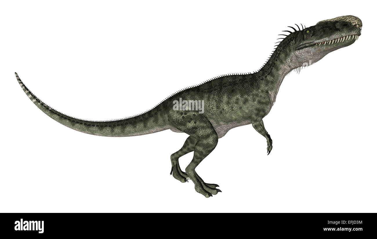 3D digital render of a curious dinosaur Monolophosaurus looking down ...