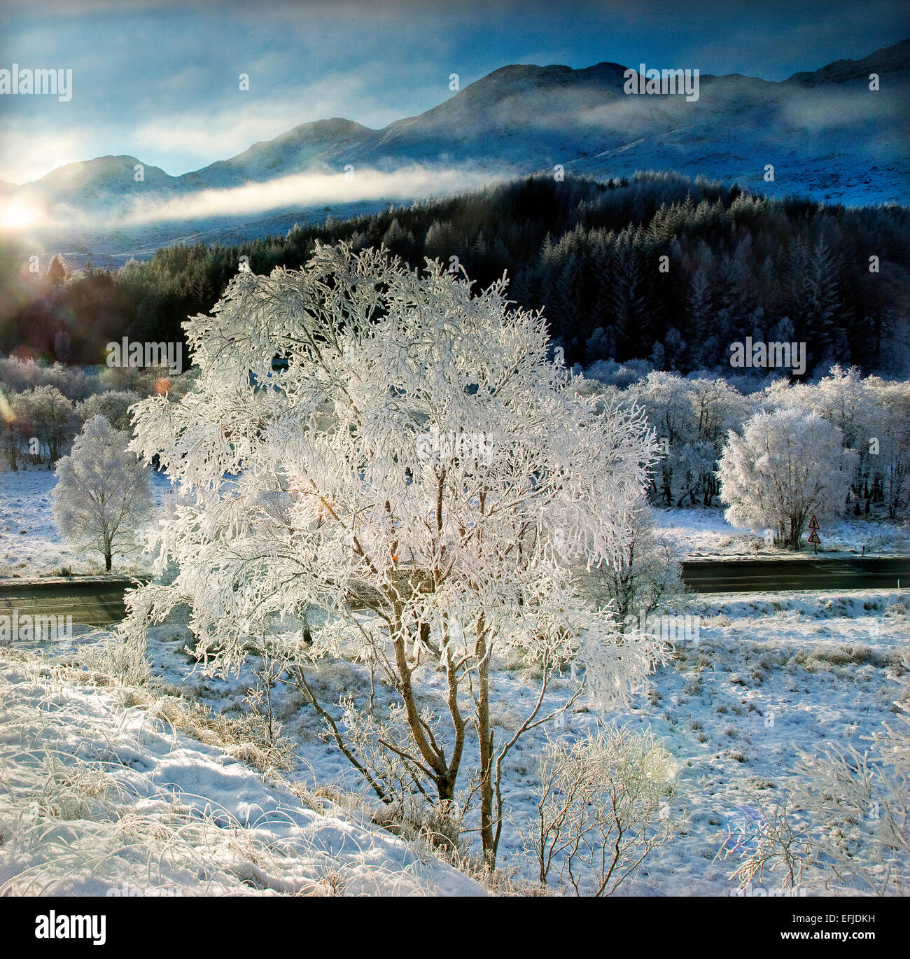 Scottish winter hi-res stock photography and images - Alamy