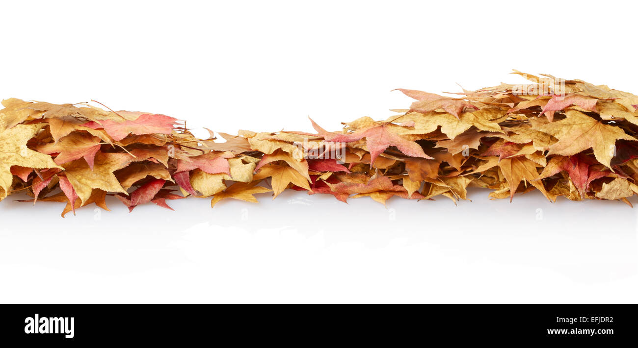 Autumn leaves border hi-res stock photography and images - Alamy