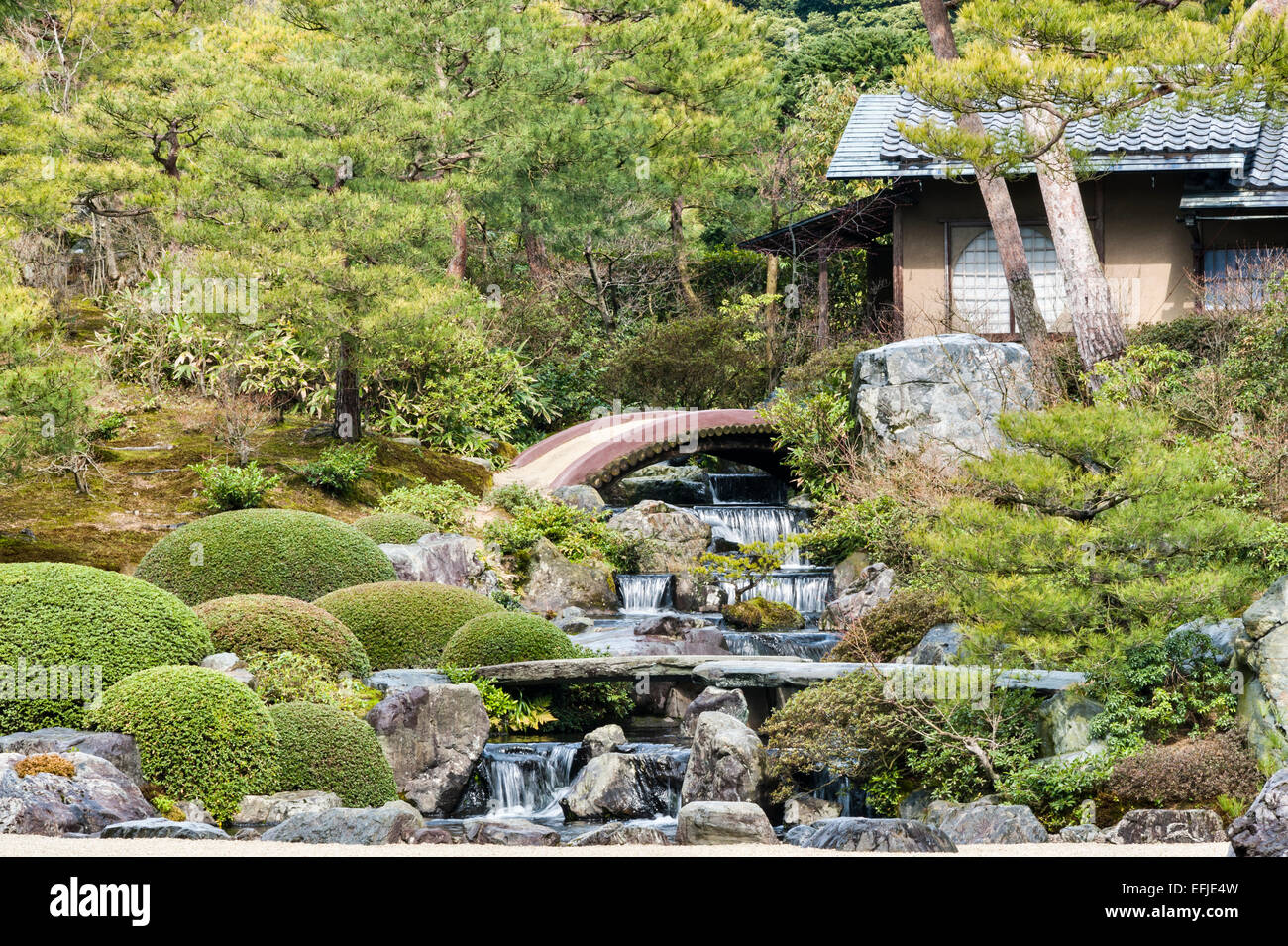 Bridges across a stream lead to a tea house in the 20c gardens of the ...
