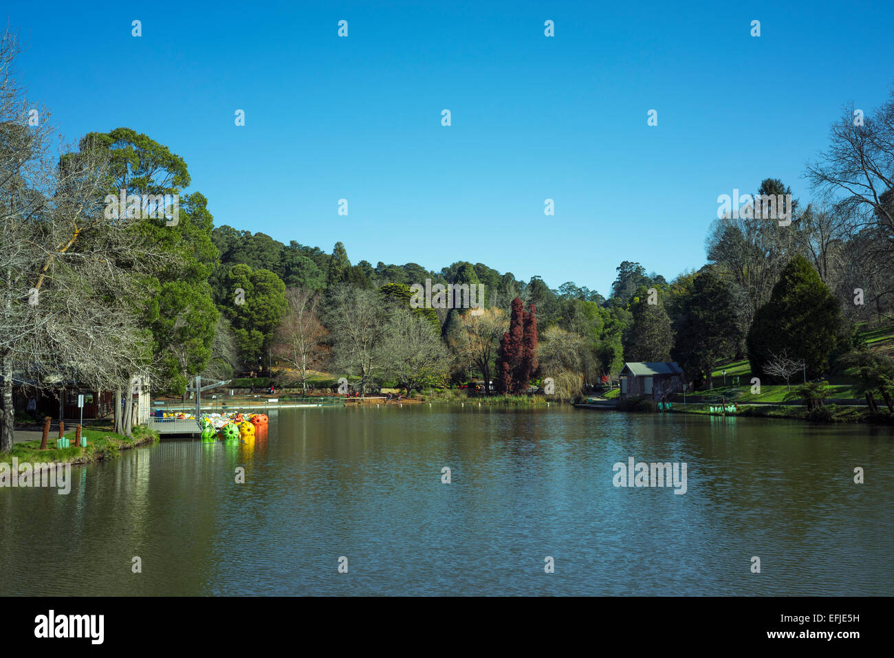 Emerald Lake Park, Melbourne, Australia Stock Photo - Alamy