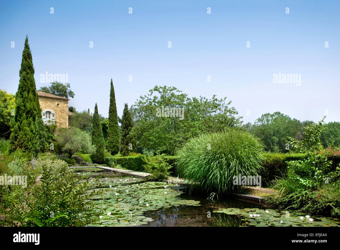 Trees in the countryside sky architecture garden green plants hi-res ...