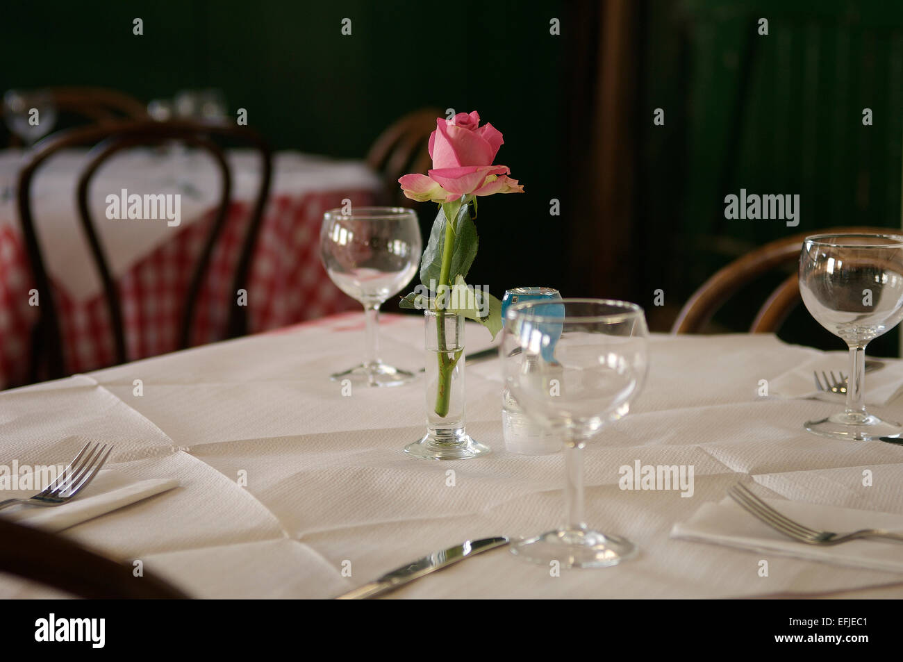 Bistro restaurant table with rose Stock Photo - Alamy