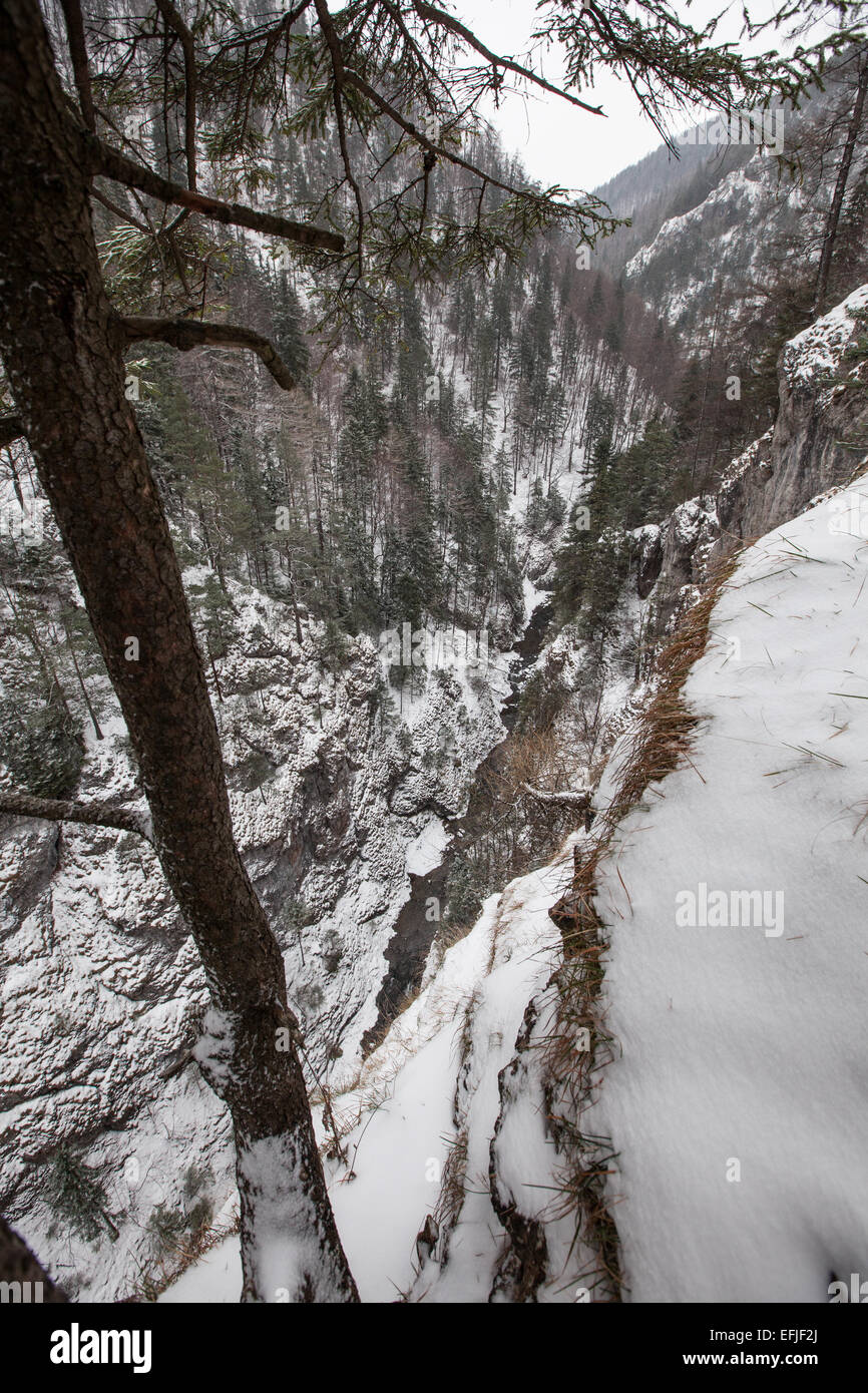 looking over the valley Stock Photo - Alamy