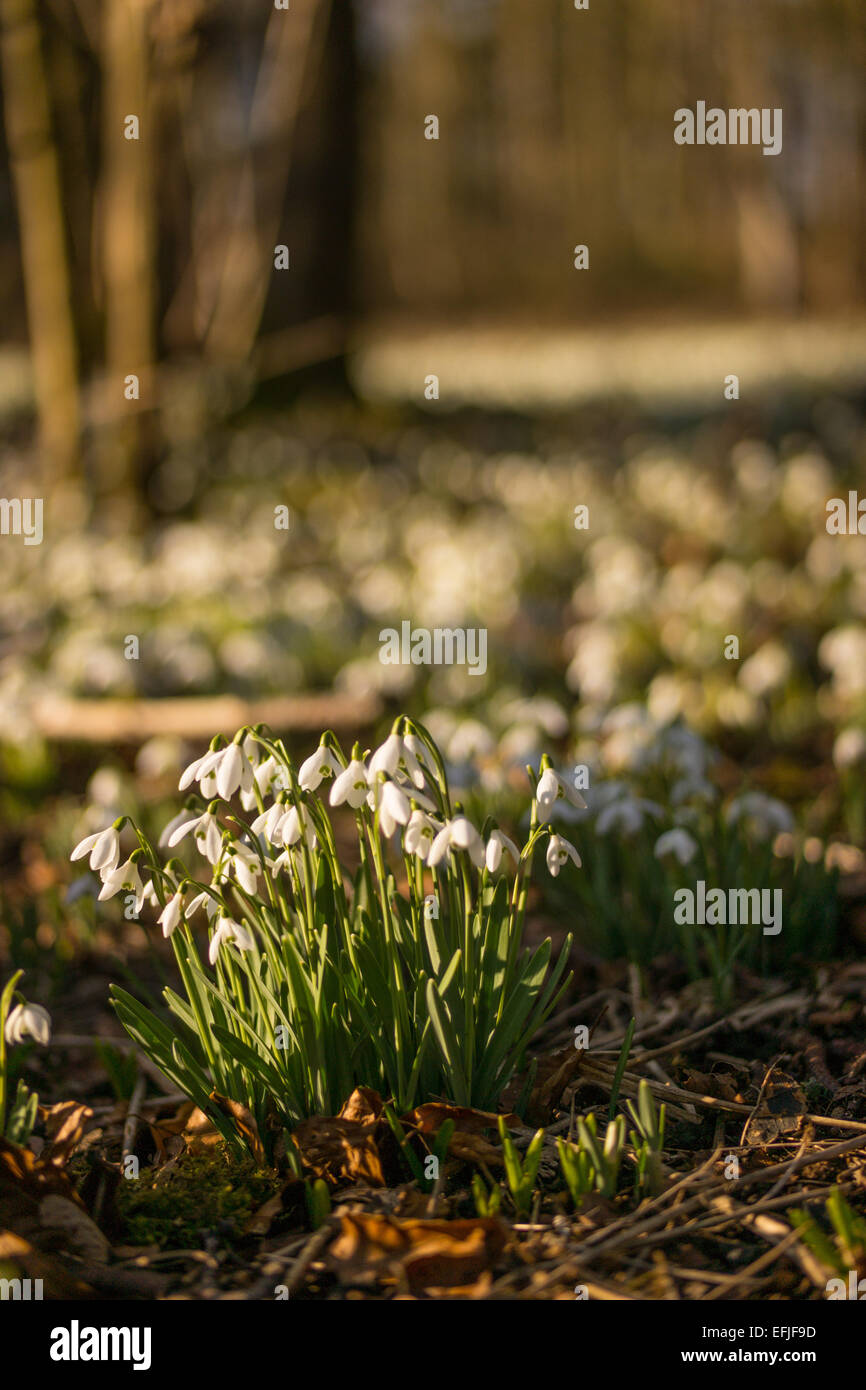 Lytham St Annes, Lancashire, UK. 5th February, 2015. UK weather news. A ...
