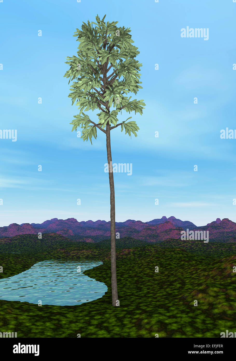 Prehistoric era Cordaites tree Stock Photo - Alamy