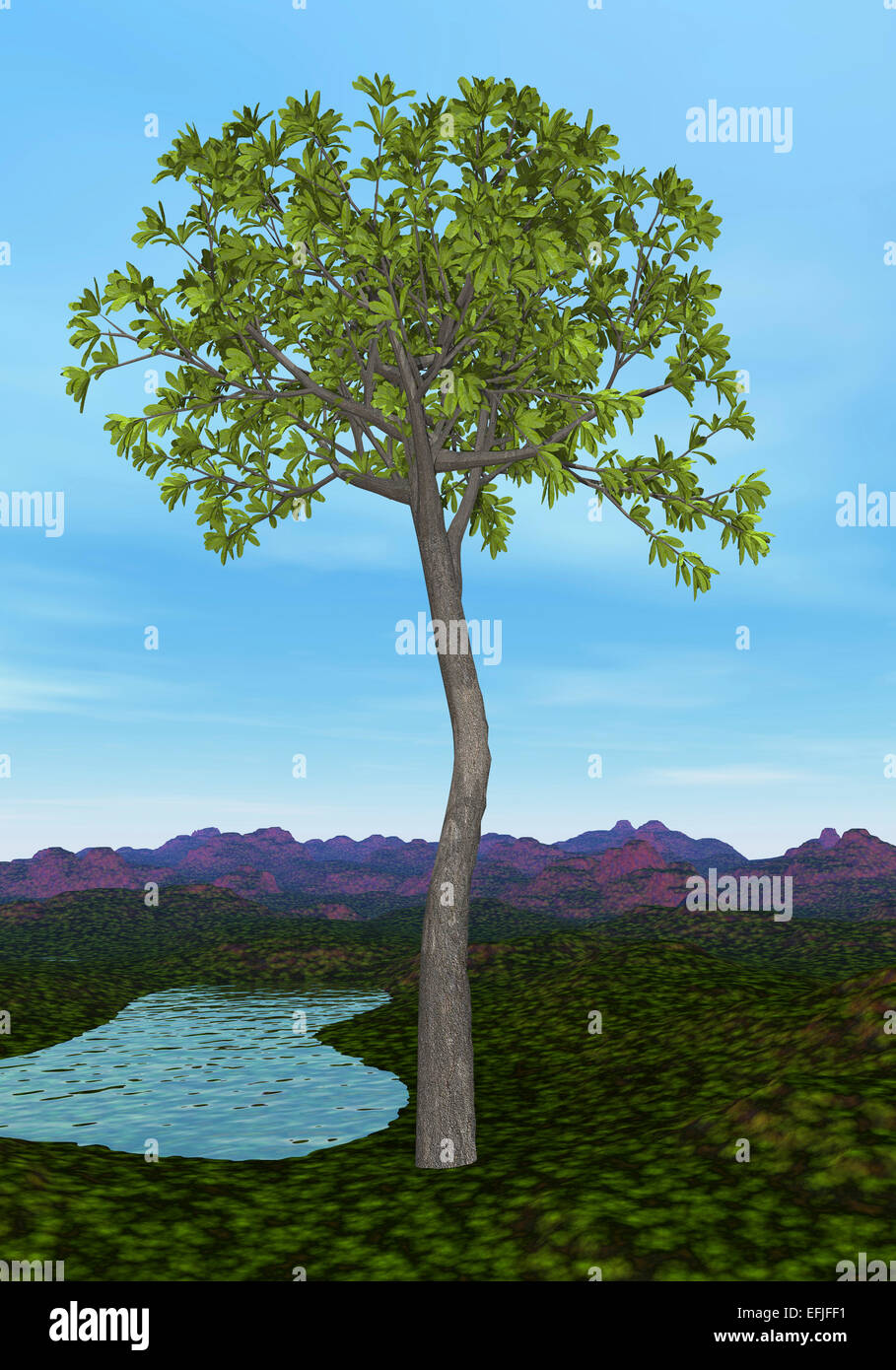 Prehistoric era Glossopteris tree Stock Photo - Alamy