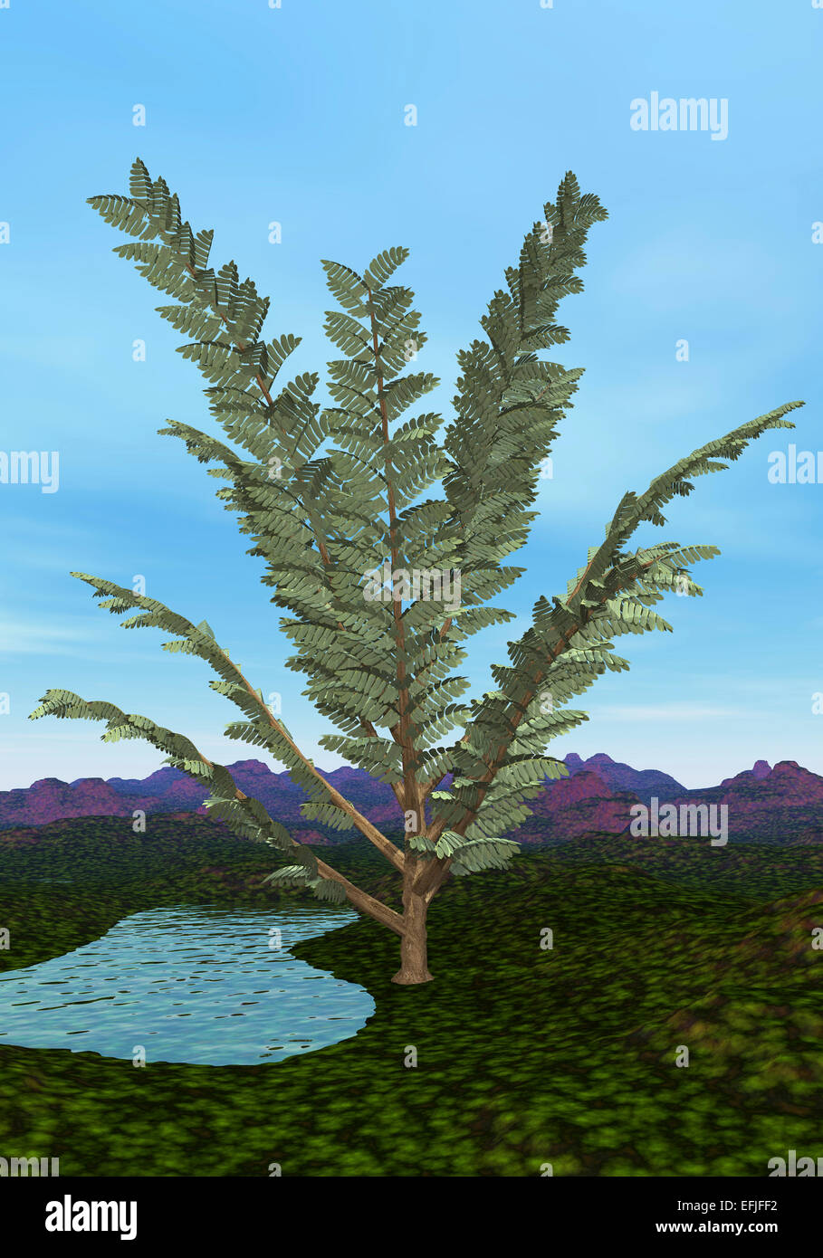 Triassic tree hi-res stock photography and images - Alamy