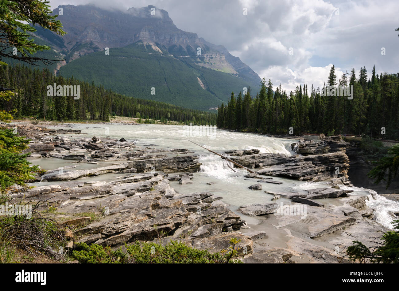 Athabasca waterfall on the Icefield Parkway in Canada Stock Photo - Alamy