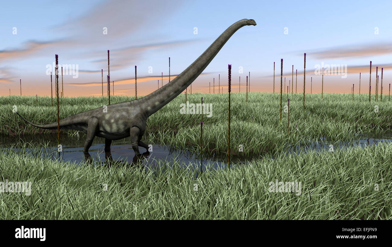 Dinosaur Swamp High Resolution Stock Photography and Images - Alamy