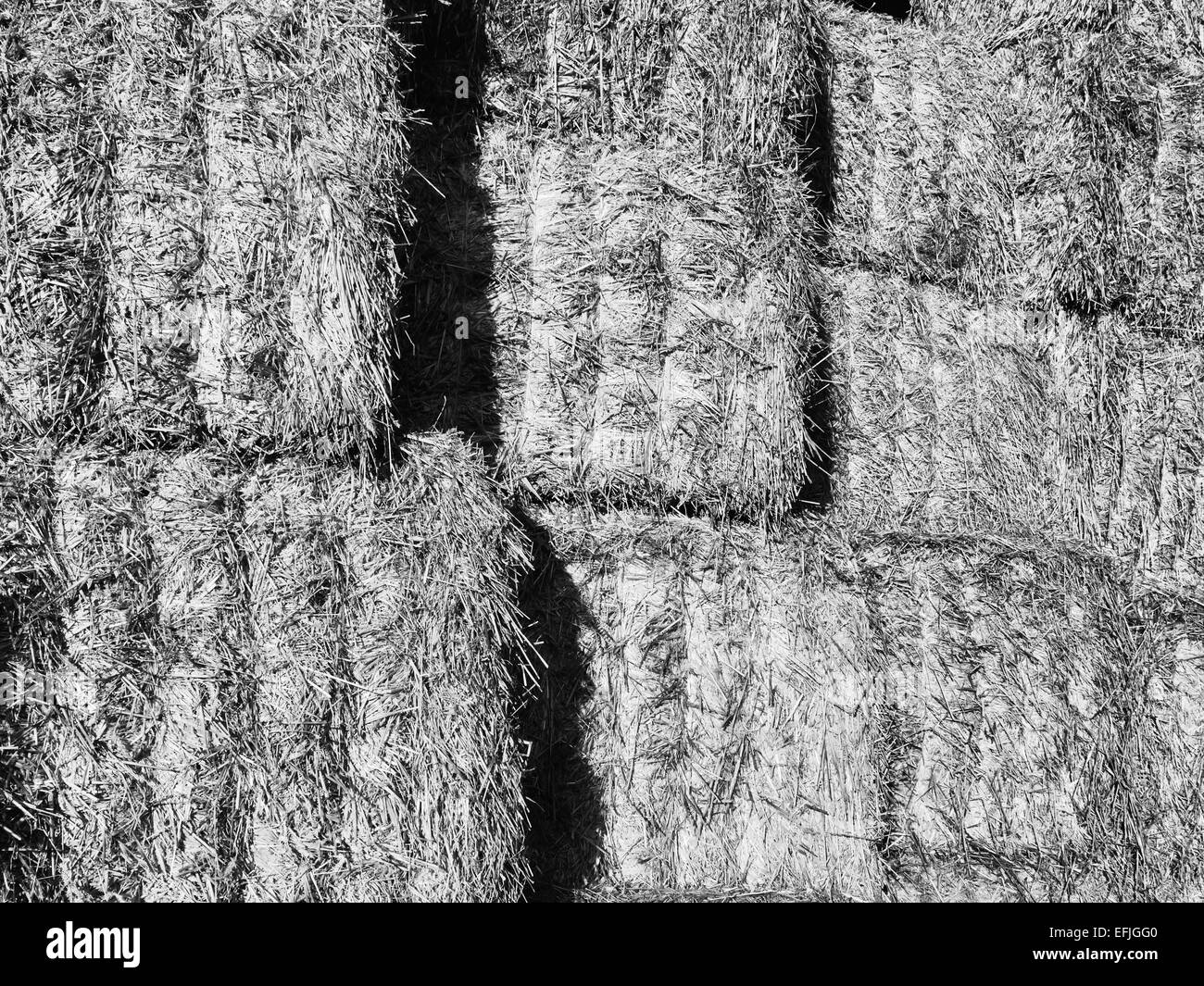 Pile of hay hi-res stock photography and images - Alamy