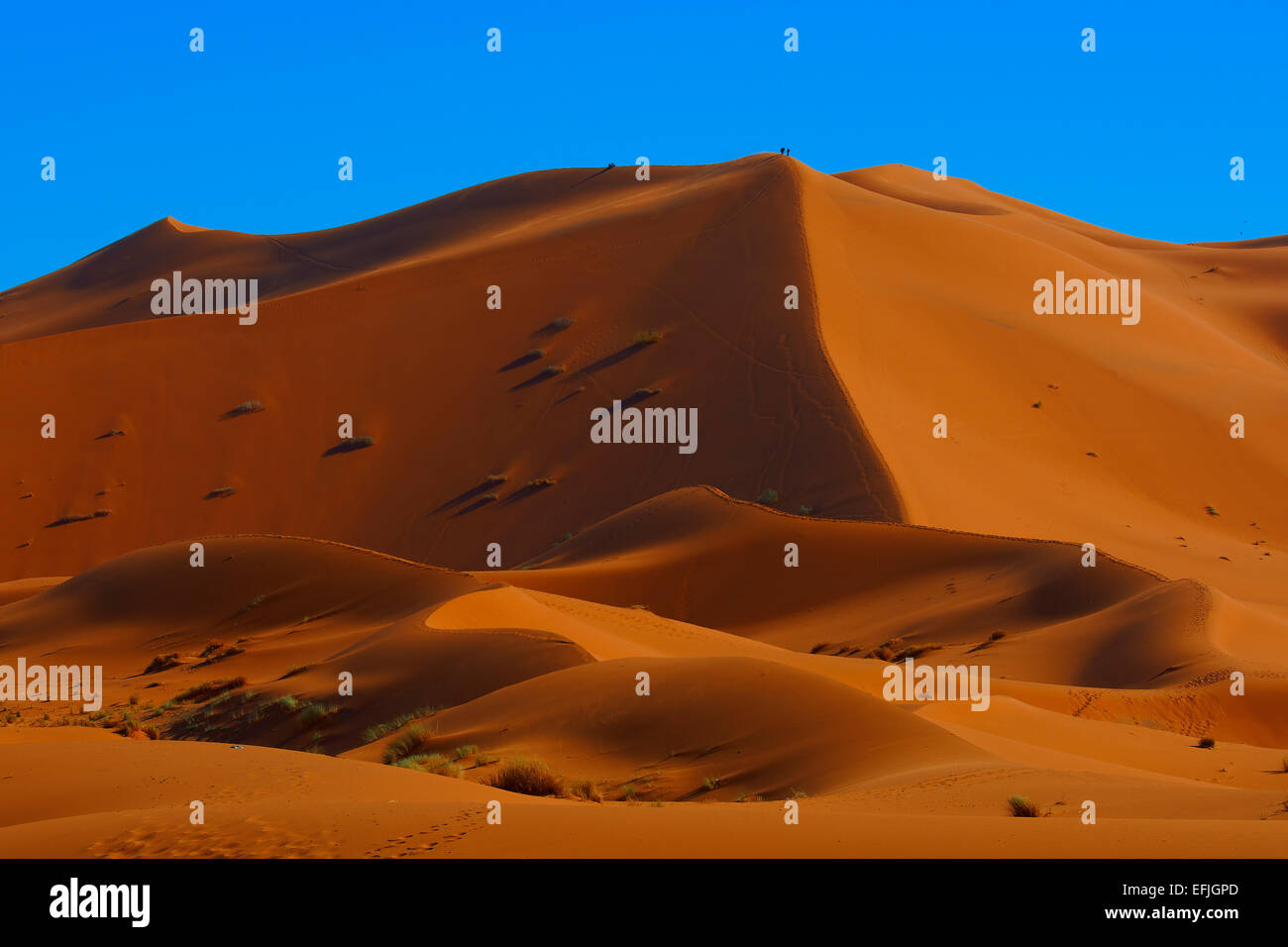 The Great Merzouga Dune, Erg Chebbi, Merzouga sand dunes, Sahara Desert ...