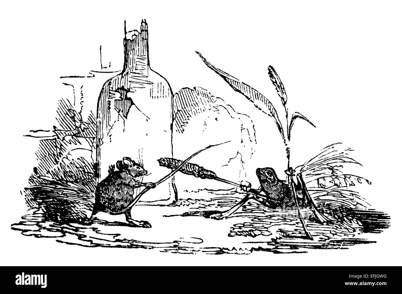 19th century engraving of a mouse and toad fencing, photographed from a ...