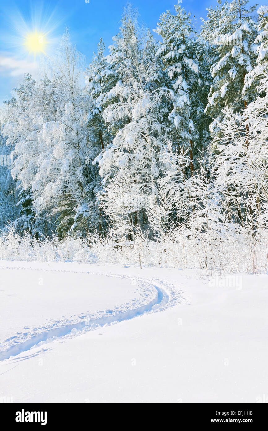 winter snowy landscape Stock Photo - Alamy