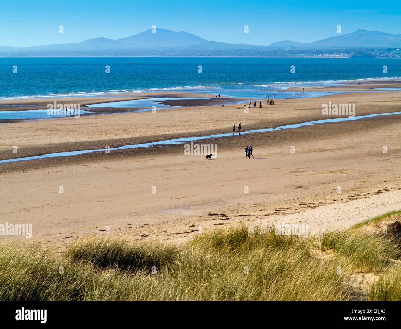 Sand dunes on the beach at Harlech in Gwynedd Snowdonia North Wales UK ...