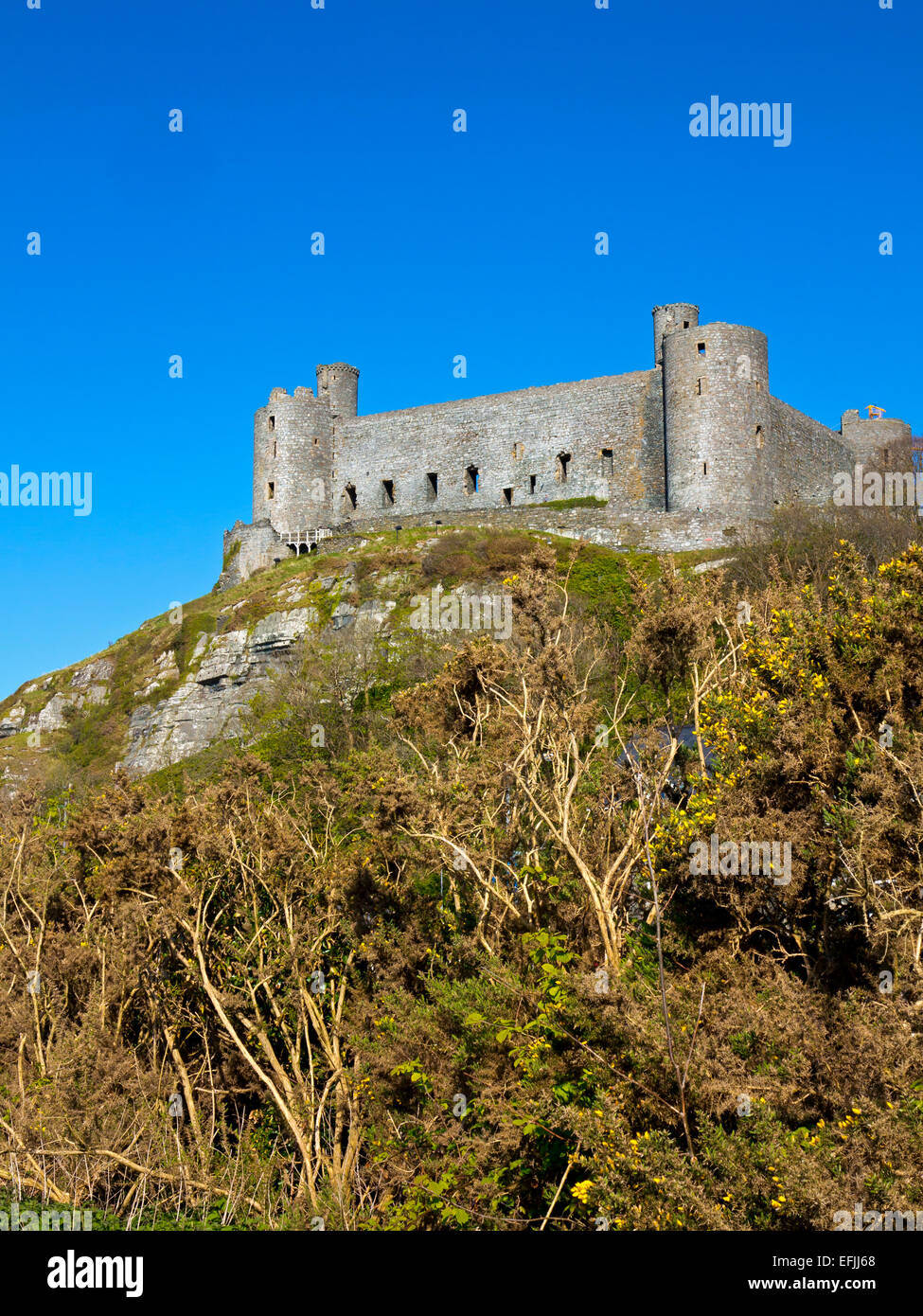Harlech Castle in Gwynedd Snowdonia North Wales UK a medieval ...