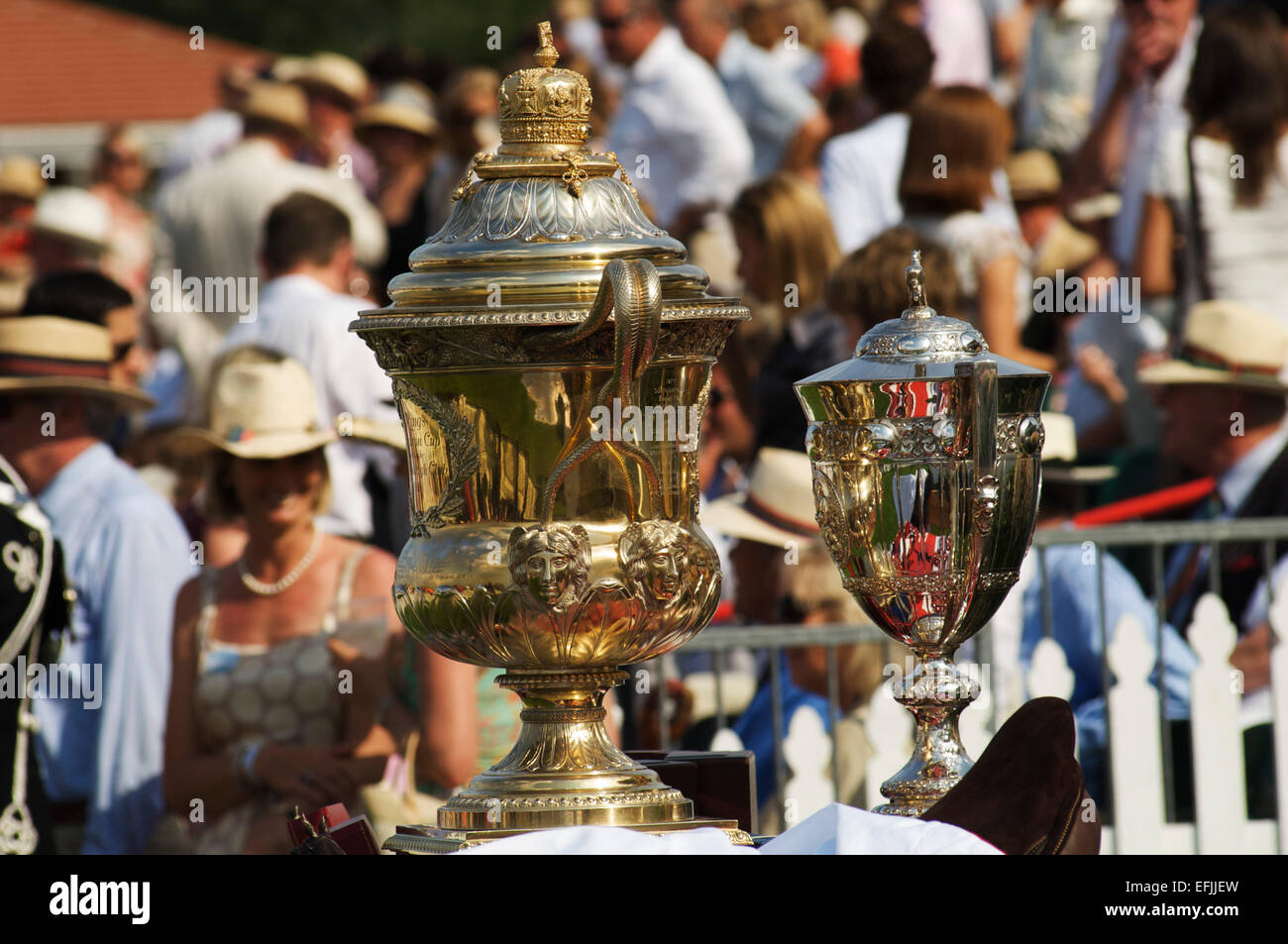Trophies, Cartier International polo day Stock Photo - Alamy