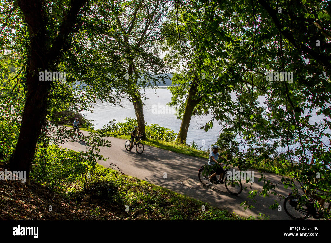 "Baldeneysee" lake in Essen, river Ruhr, path around the lake for ...