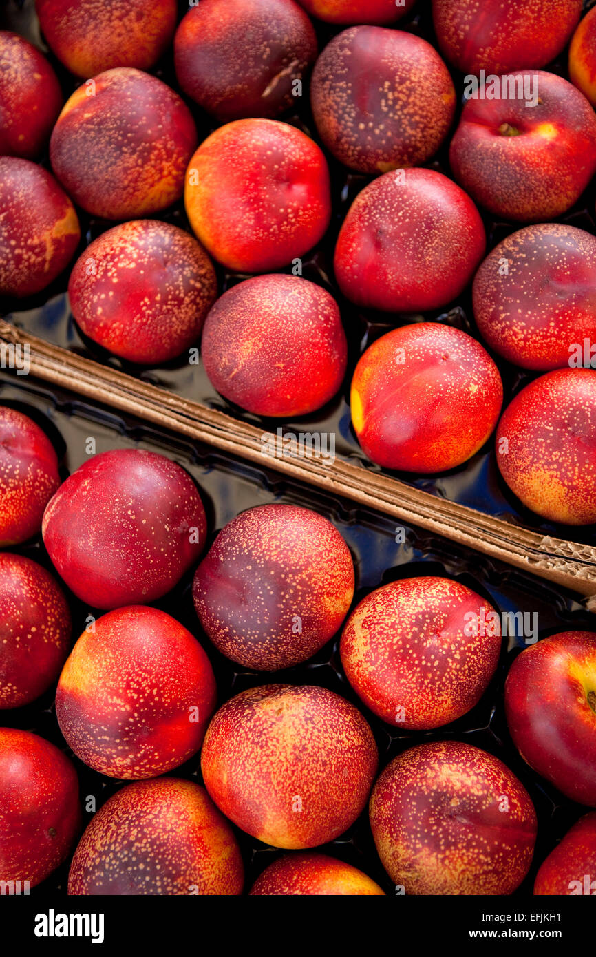 Nectarines on a market stall Stock Photo - Alamy
