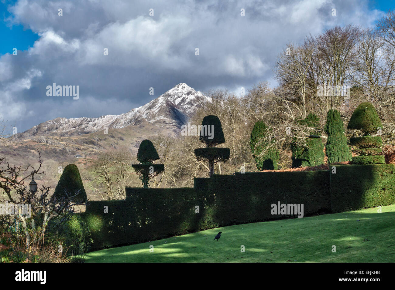The snowy peak of Cnicht in Snowdonia, Wales, seen from the formal ...