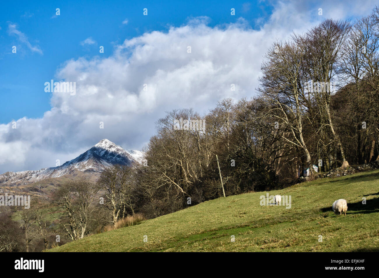 The snowy peak of Cnicht, a mountain in Snowdonia National Park, North ...