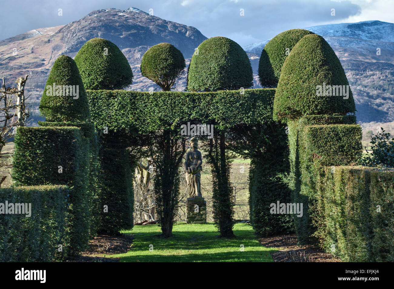 Yew hedge with arch hi-res stock photography and images - Alamy