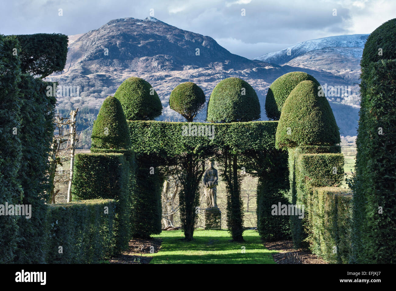 Yew hedge with arch hi-res stock photography and images - Alamy