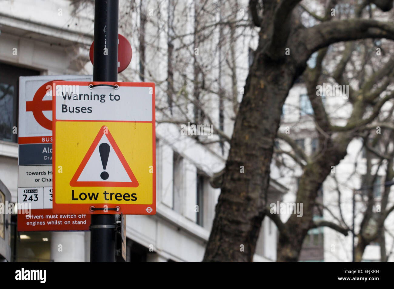 Warning to London Buses of Low trees Stock Photo - Alamy