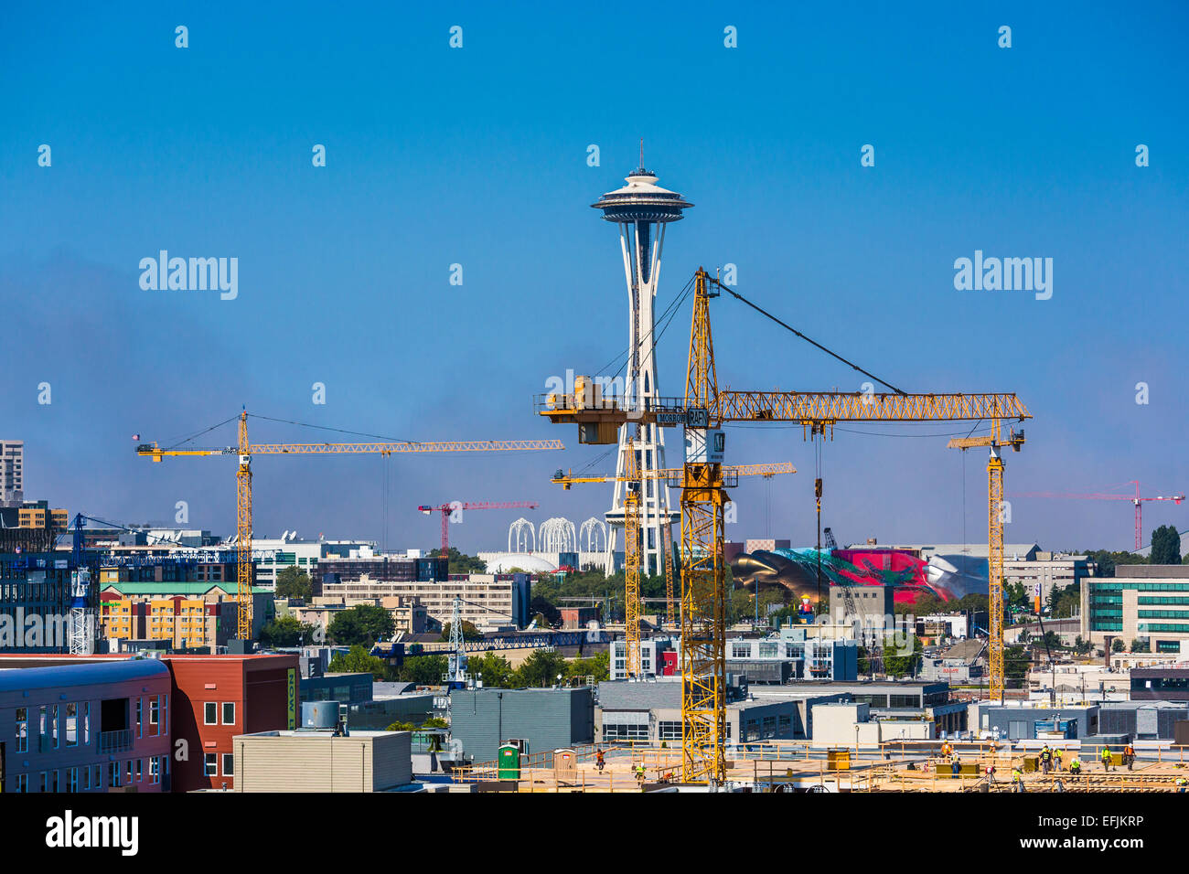 Construction cranes show the incredible building boom happening in the ...