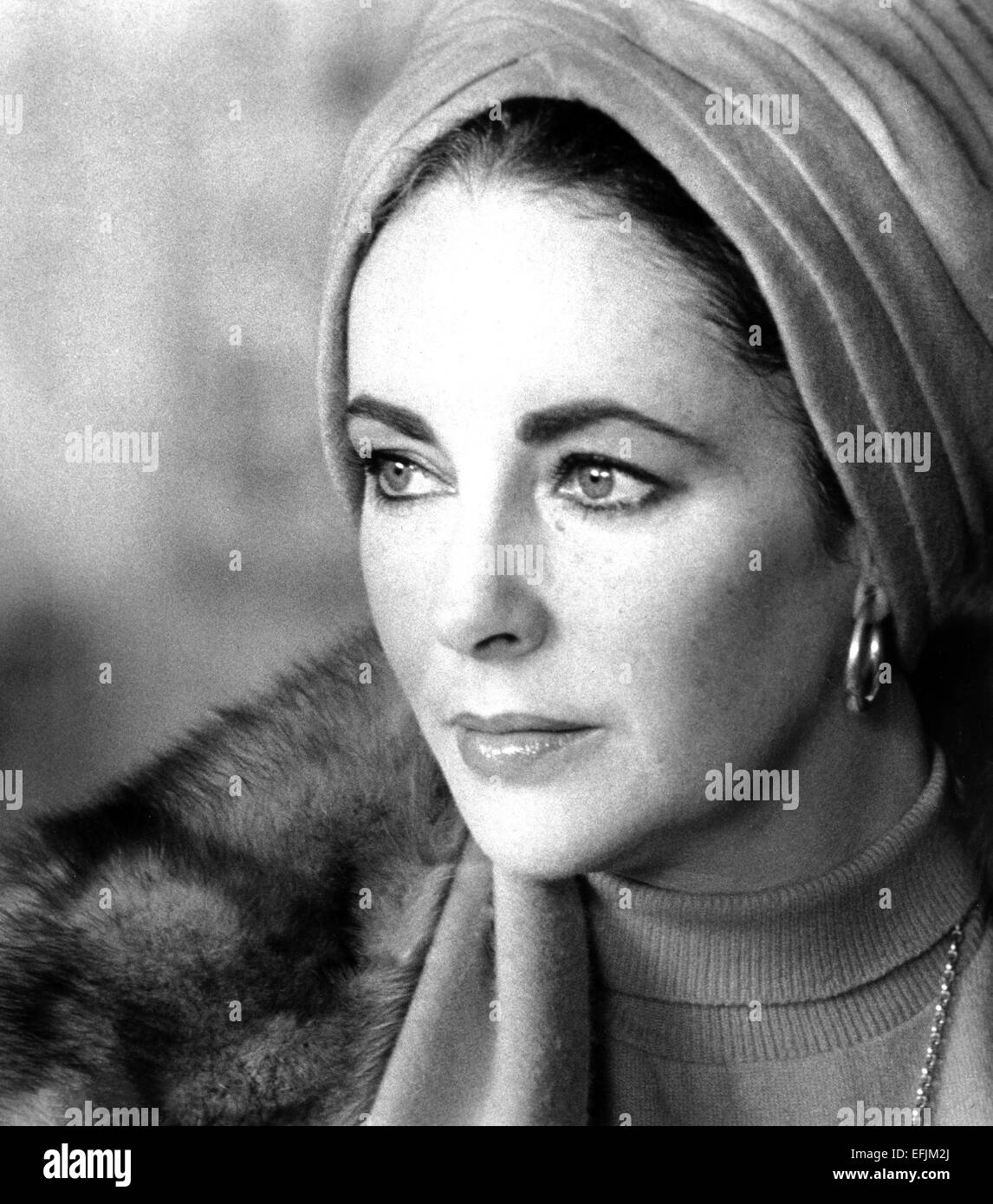 Ash Taylor High Resolution Stock Photography and Images - Alamy