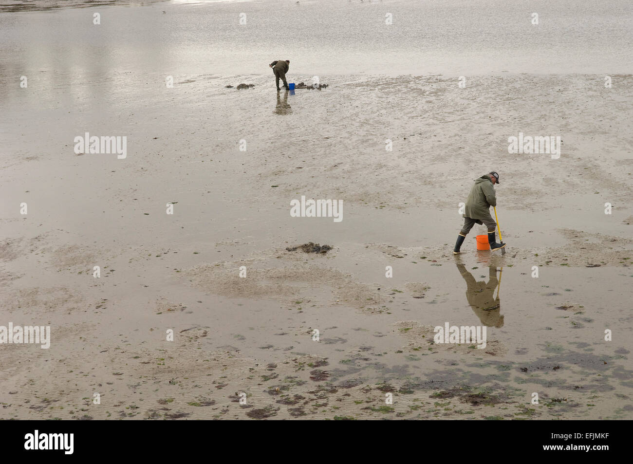 Collecting Clams High Resolution Stock Photography and Images - Alamy