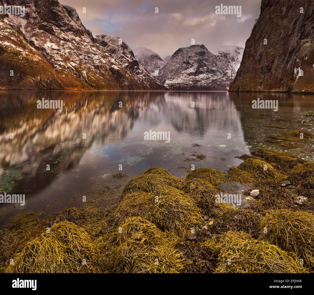 Reflection of mountains in the fjord, Aurlandsfjord near Undredal, Sogn ...